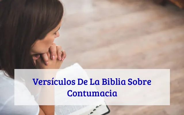60+ Versículos De La Biblia Sobre Contumacia