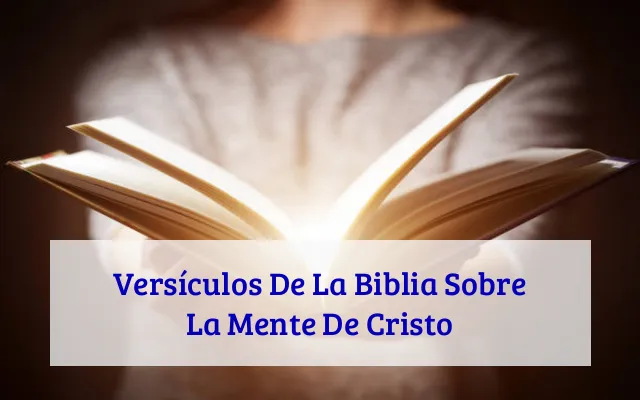 61+ Versículos De La Biblia Sobre La Mente De Cristo