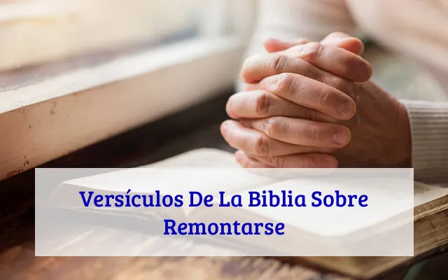 63+ Versículos De La Biblia Sobre Remontarse