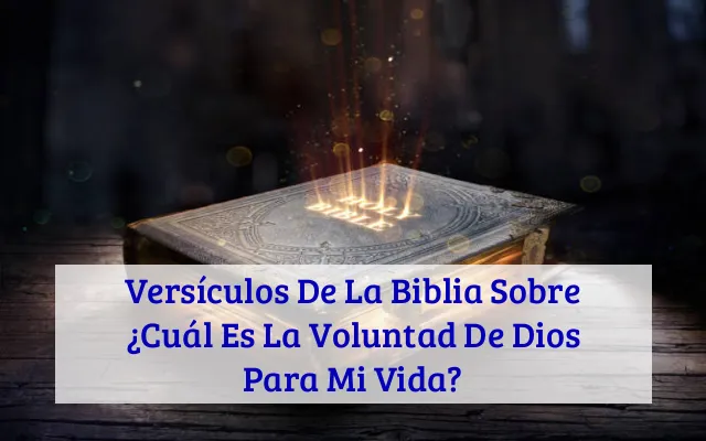 66+ Versículos De La Biblia Sobre ¿Cuál Es La Voluntad De Dios Para Mi Vida?